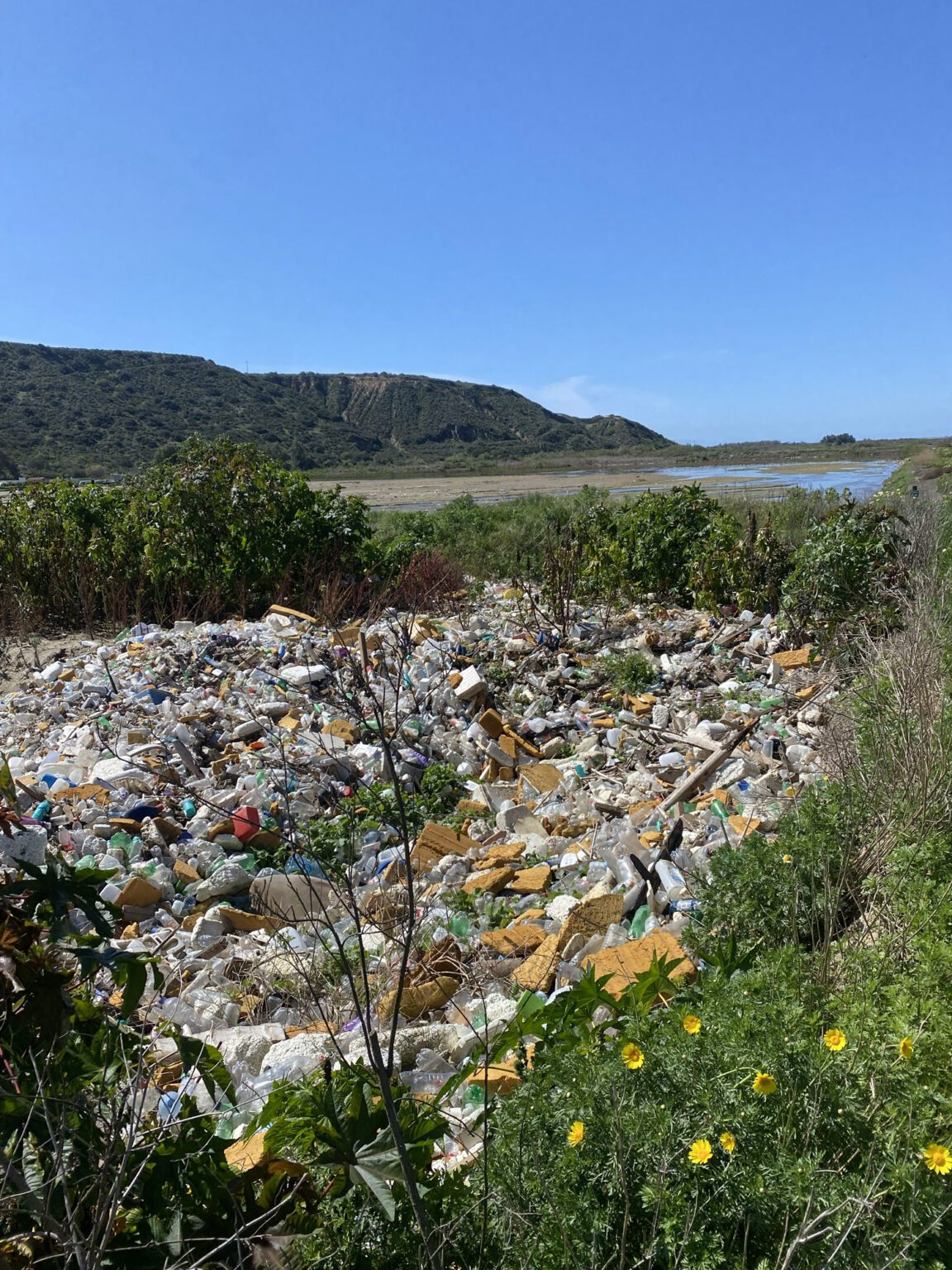 Understanding the Tijuana River Sewage Crisis – An Overview of Causes ...