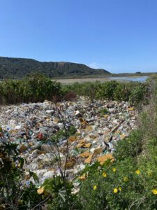 Understanding the Tijuana River Sewage Crisis – An Overview of Causes ...