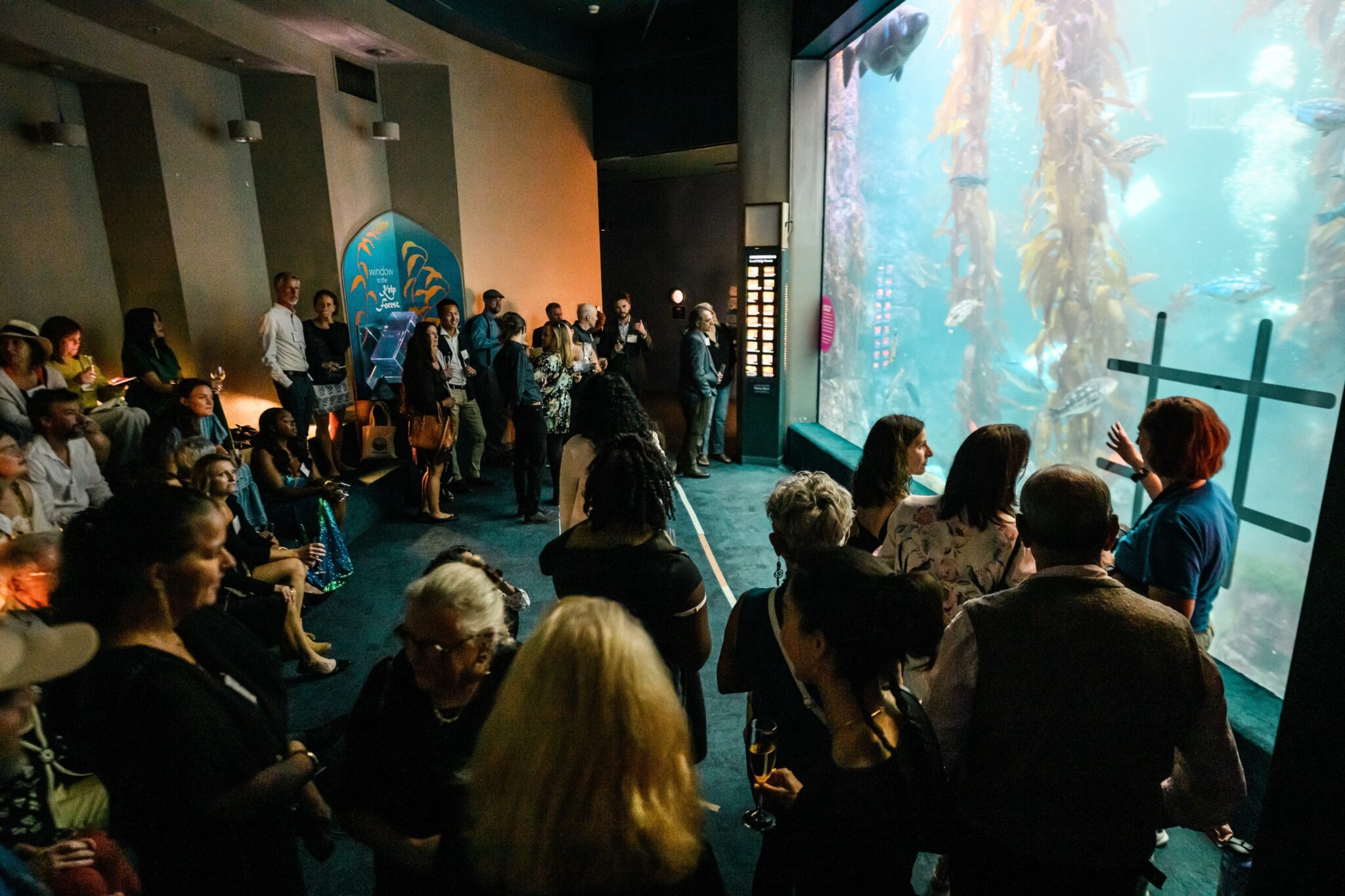 Seaside Soirée | San Diego Coastkeeper