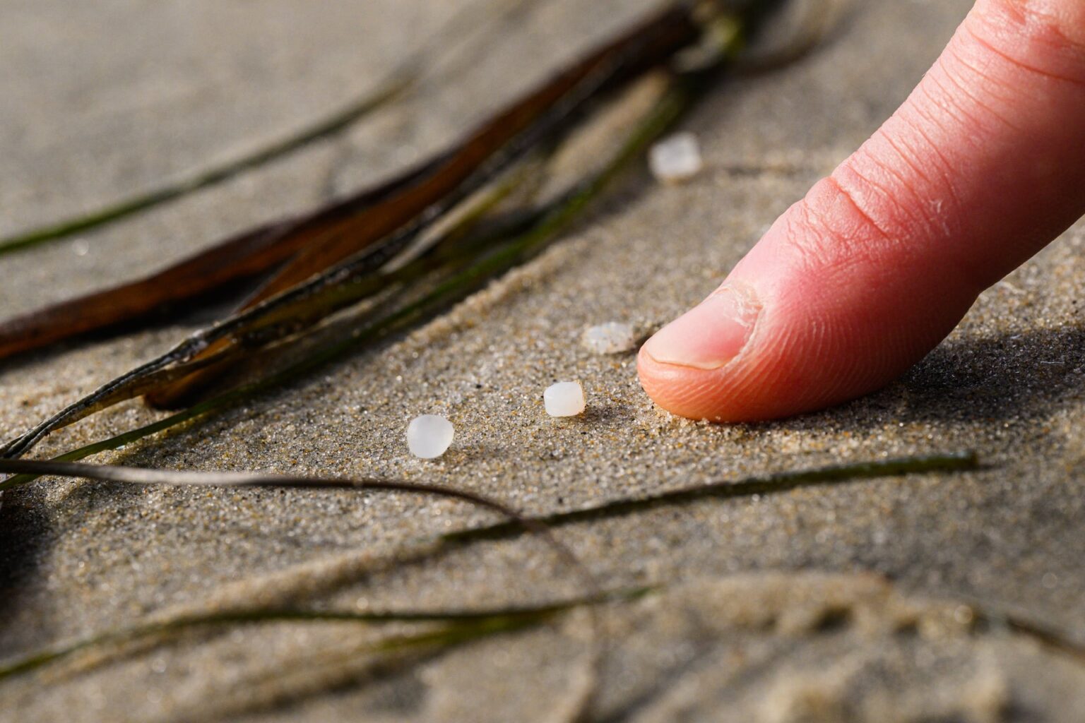 What are Nurdles? The Tiny Plastic Pellets Threatening San Diego’s ...